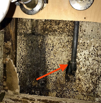 How To Remove Mold In Kitchen (100% Doable) - The Mold Insider