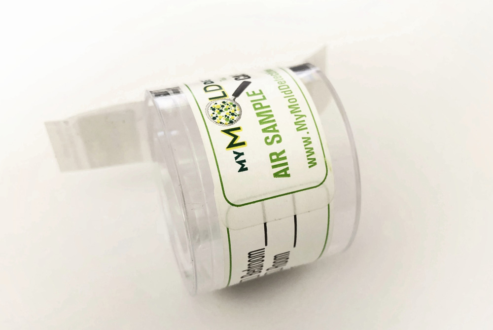 The Best DIY Mold Test Kits (2023 Lab Results): Are They Worth It ...