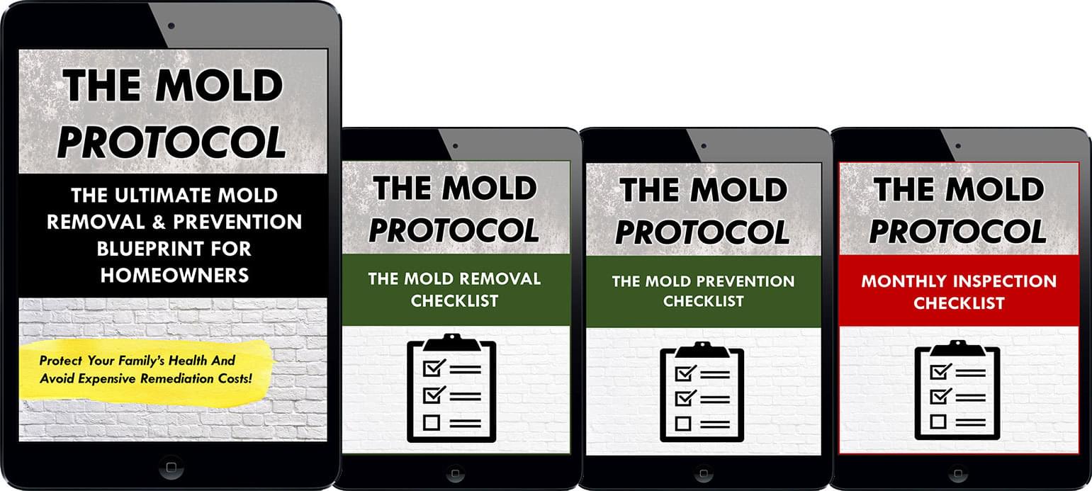 The Mold Protocol – Home - The Mold Insider