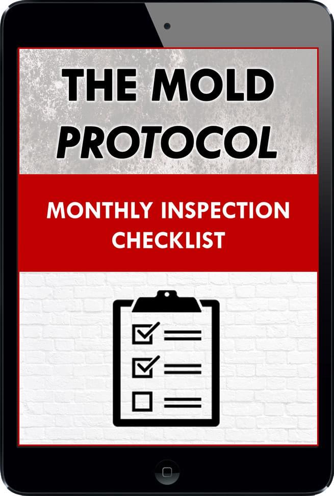 The Mold Protocol – Home - The Mold Insider