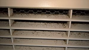 How To Prevent Mold in Air Conditioner (HVAC systems) - The Mold Insider
