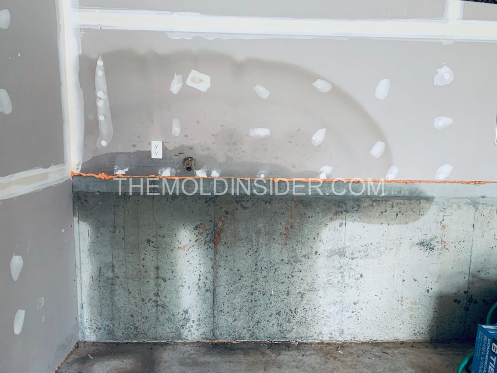 Pictures Of Mold: 39 Real-Life Images Of Mold in Homes - The Mold Insider