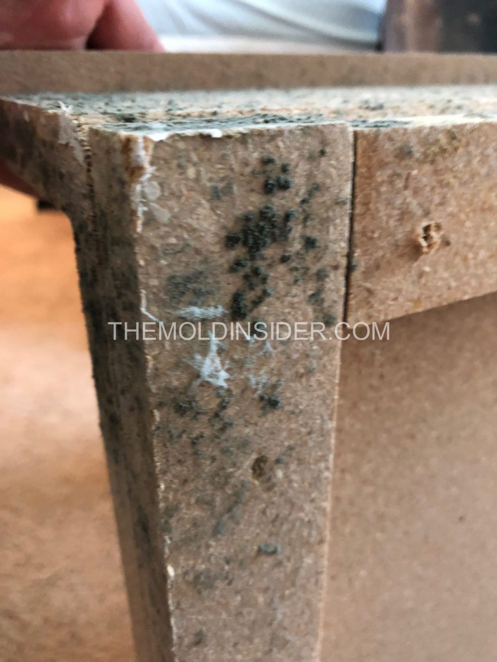 Pictures Of Mold: 39 Real-Life Images Of Mold in Homes - The Mold Insider