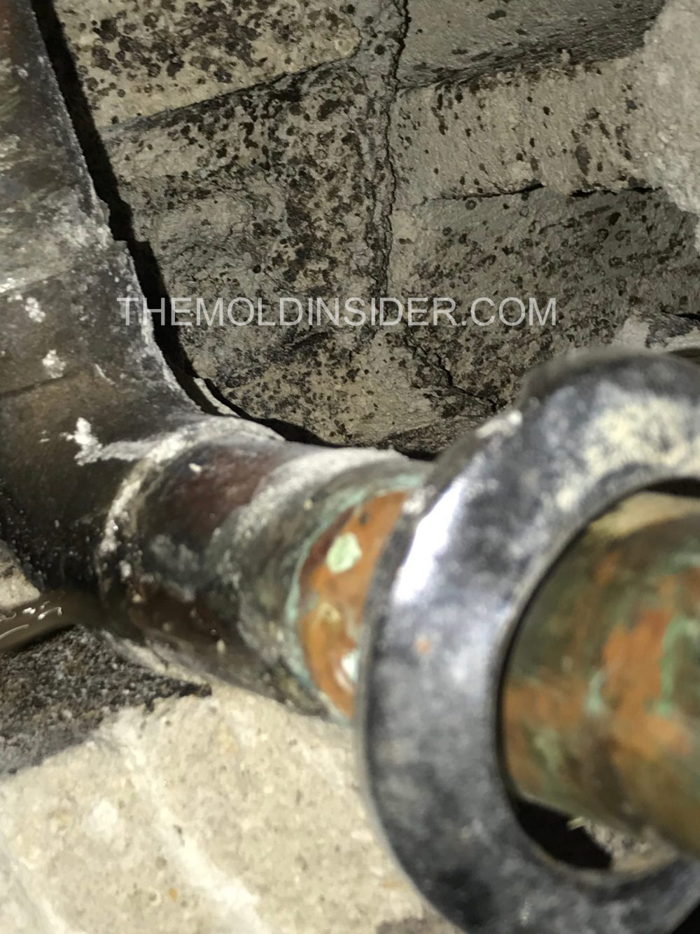 Pictures Of Mold: 39 Real-Life Images Of Mold in Homes - The Mold Insider