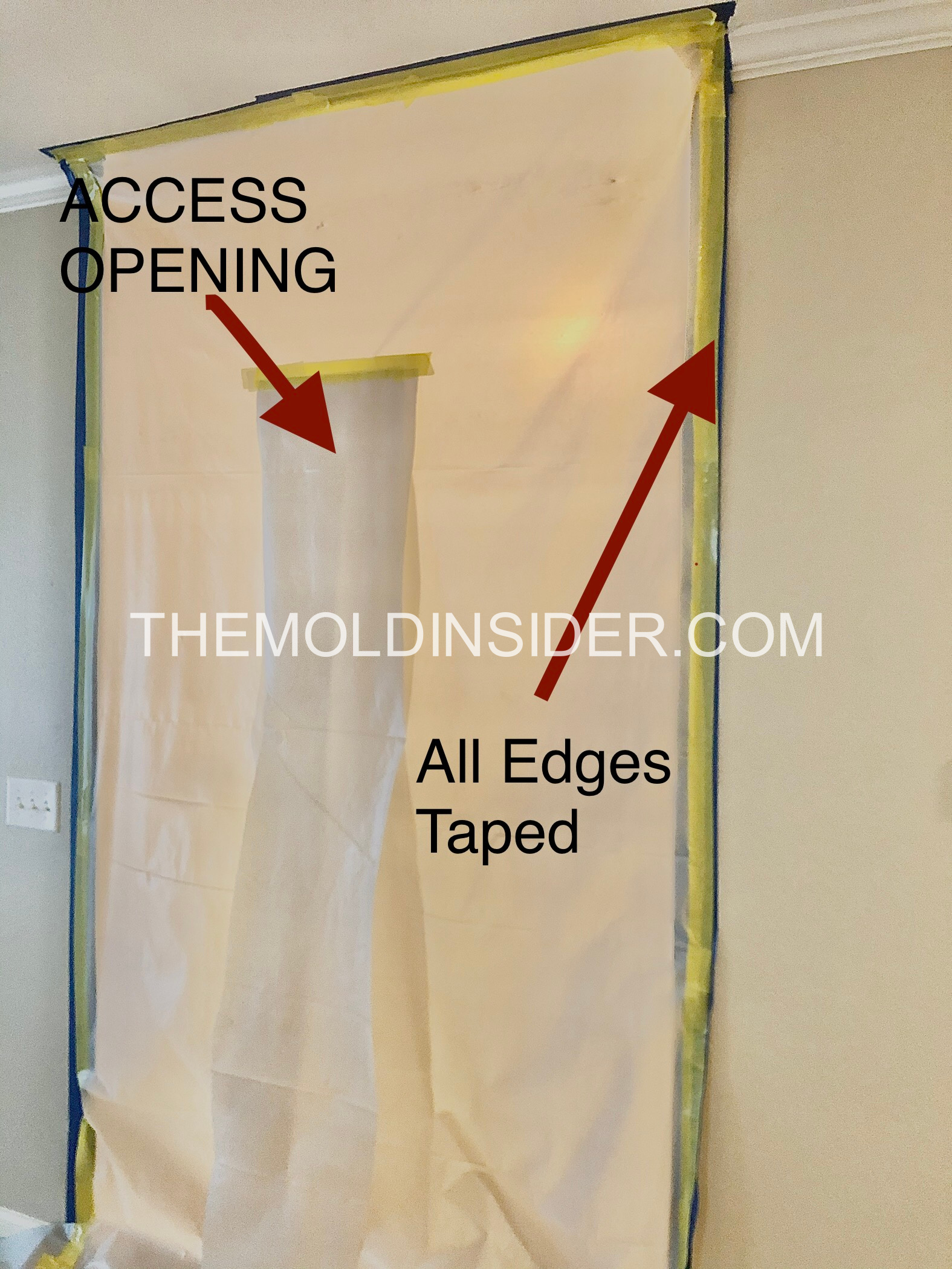 How To Remove Mold Safely (6 Critical Safety Steps) - The Mold Insider