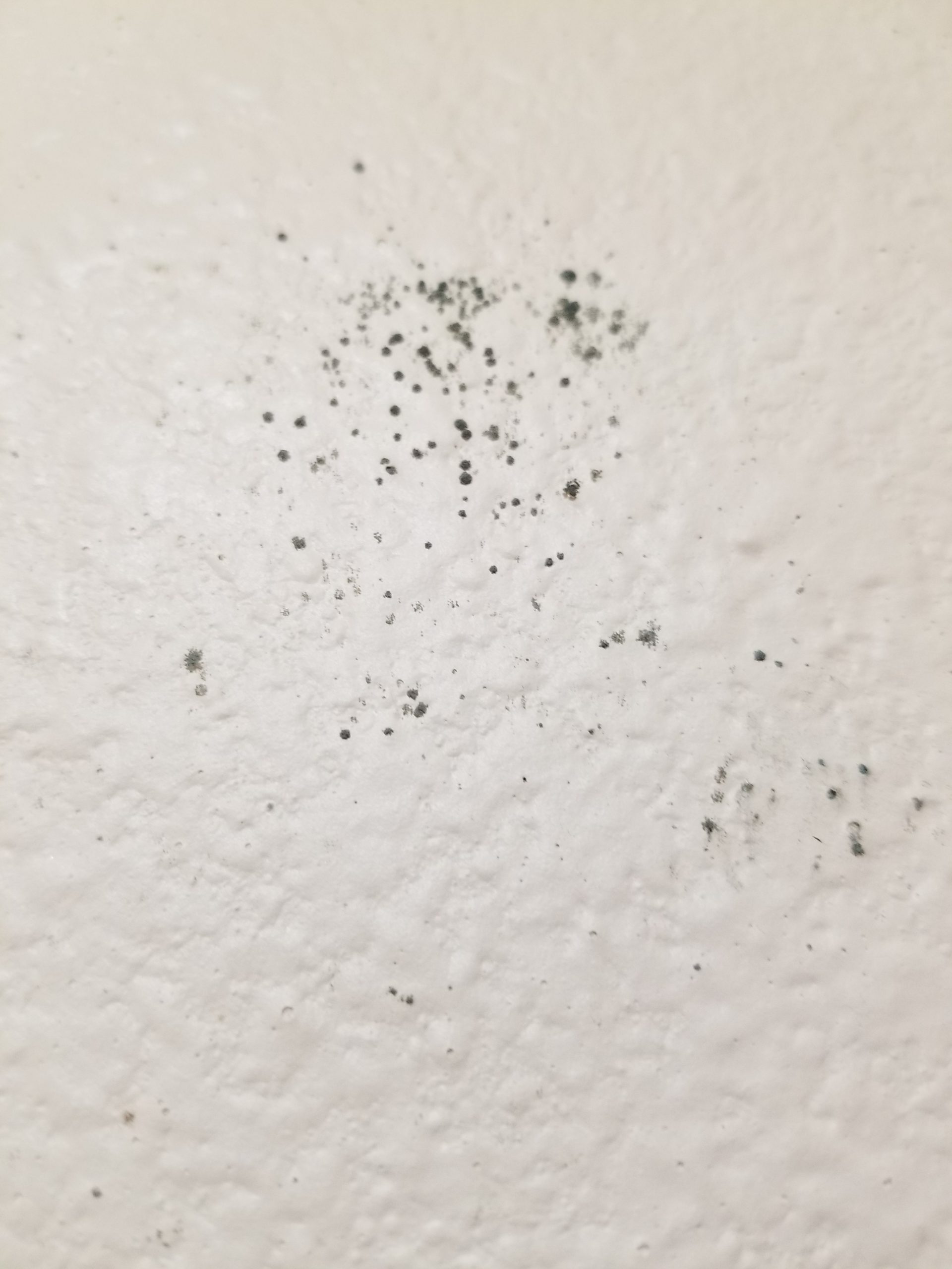 11 Tips Checklist For Mold in Hotel Room (Great For Travelers) - The ...