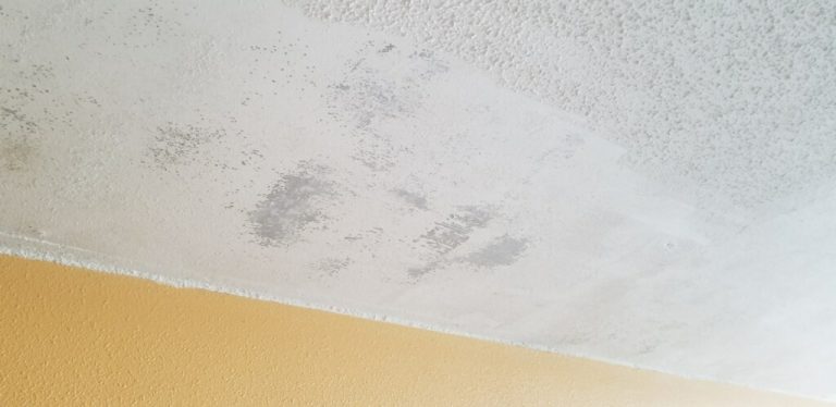 11 Tips Checklist For Mold in Hotel Room (Great For Travelers) - The ...